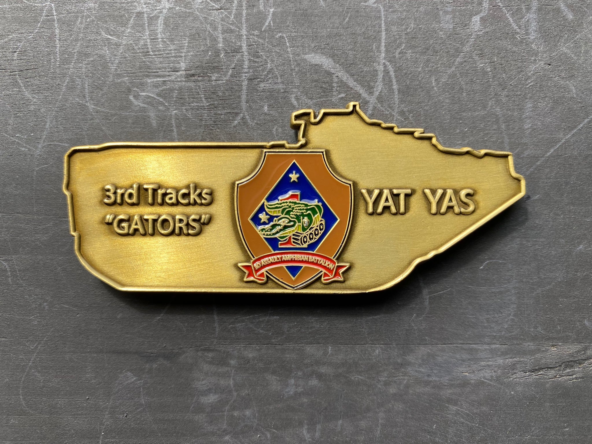 3D Assault Amphibian Battalion - Gators - 3rd AABn - YAT YAS Challenge ...